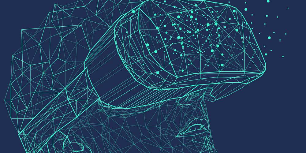 Internet: News e novità