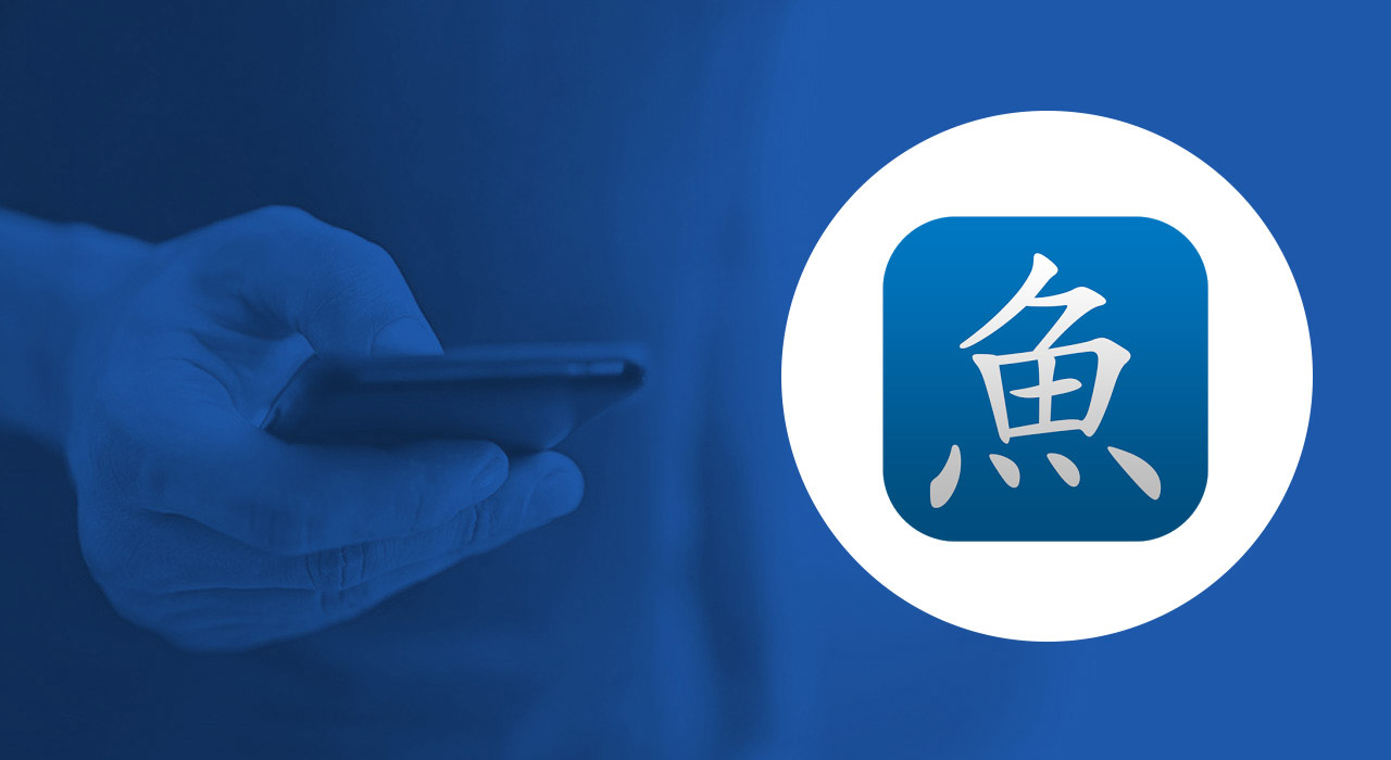 App4Italy. La recensione del giorno, Pleco Chinese Dictionary