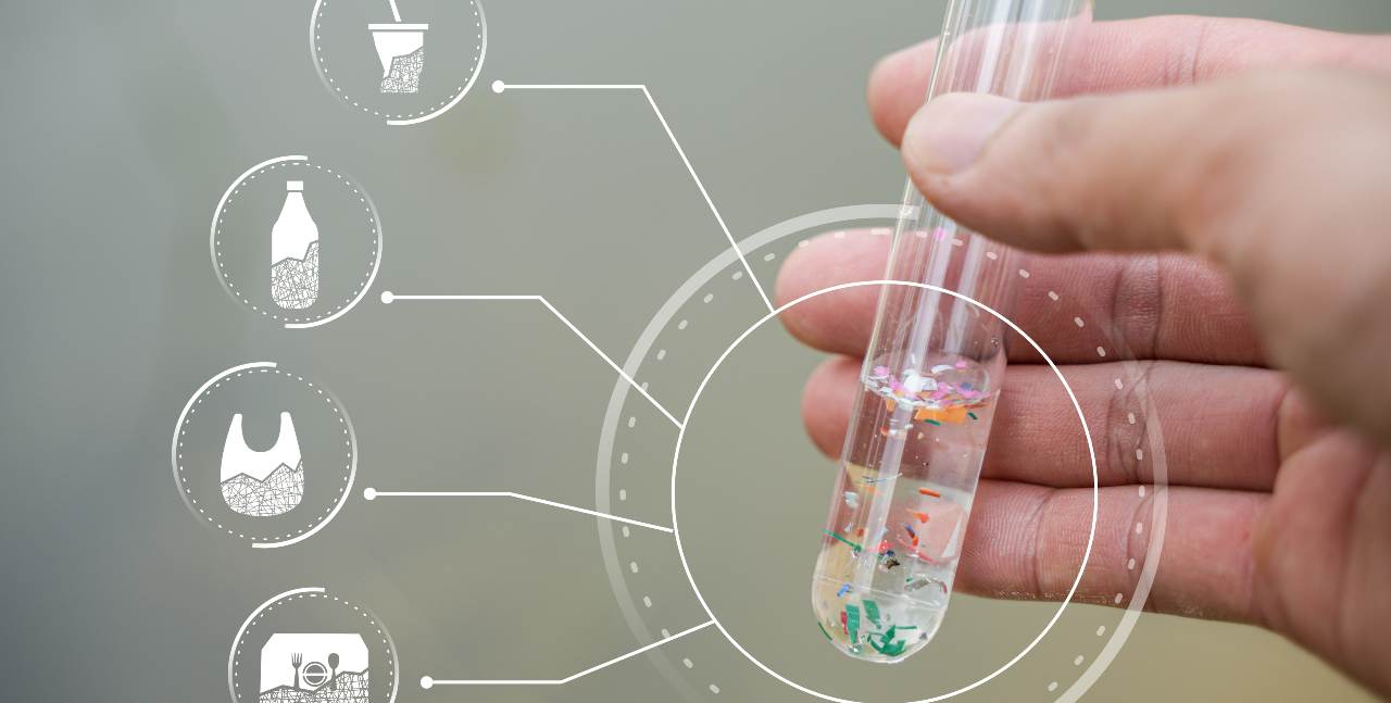 Microplastiche nel cervello due ore dopo averle ingerite. Lo studio