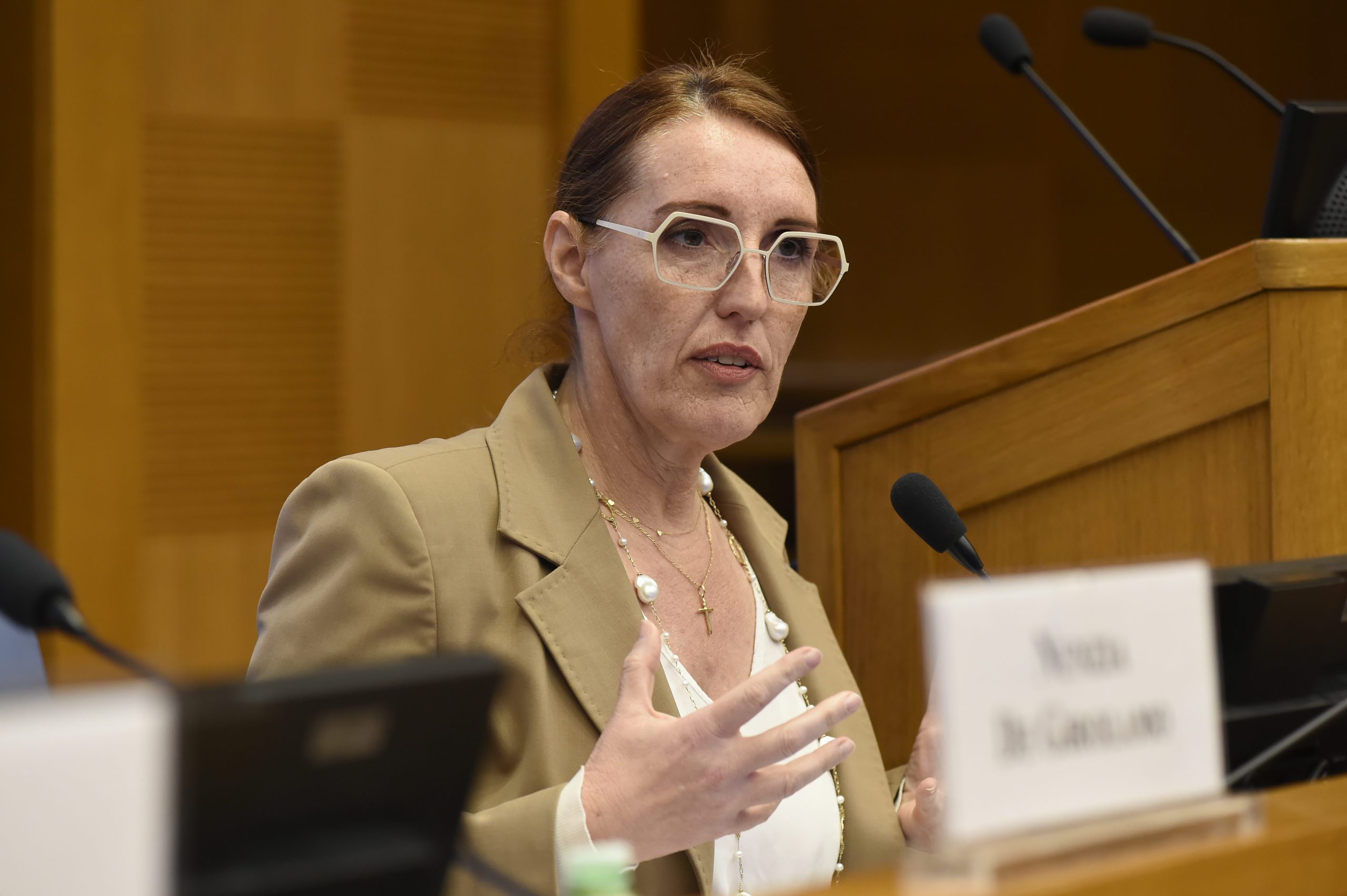 Space Act, Donazzan (FdI-Ecr)nominata relatrice legge spaziale Ue